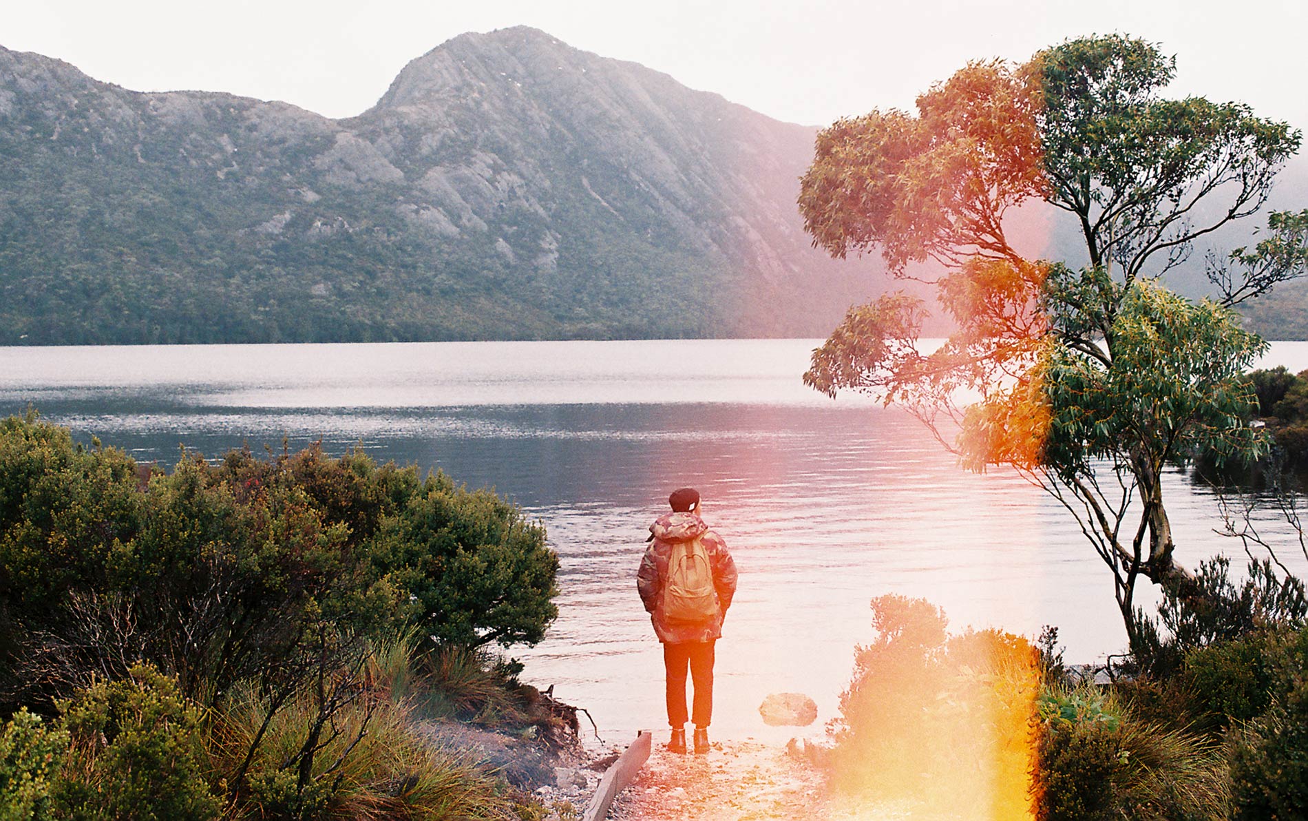 MADNESS Online Store | MADNESS